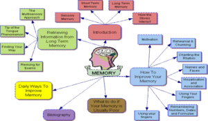 Mindmap là gì? Hướng dẫn Đầy đủ về Sơ đồ Tư duy (Ví dụ và Cách vẽ)